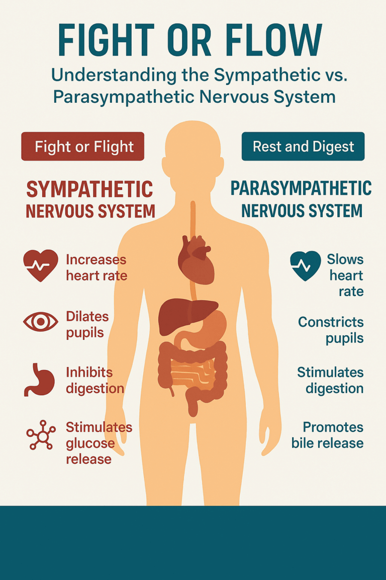 Fight or Flow: Understanding the Sympathetic vs. Parasympathetic ...