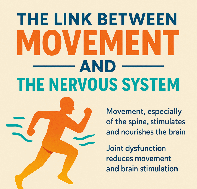 Move It or Lose It: Why Movement is Key for Spinal Health and the ...