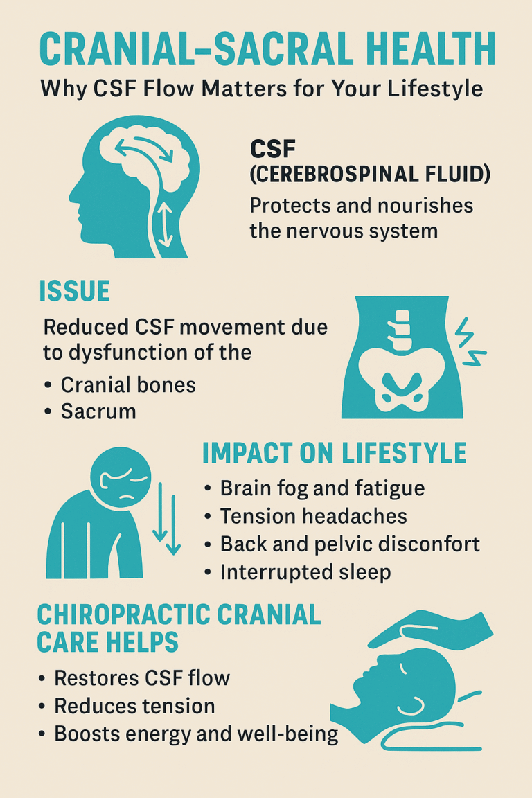 Cranial–Sacral Health: Why CSF Flow Matters for Your Lifestyle - Limitless Chiropractic